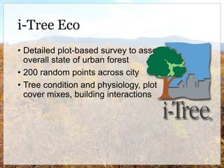Peeking Beneath the Canopy: Insights from using i-Tree Eco to monitor ...