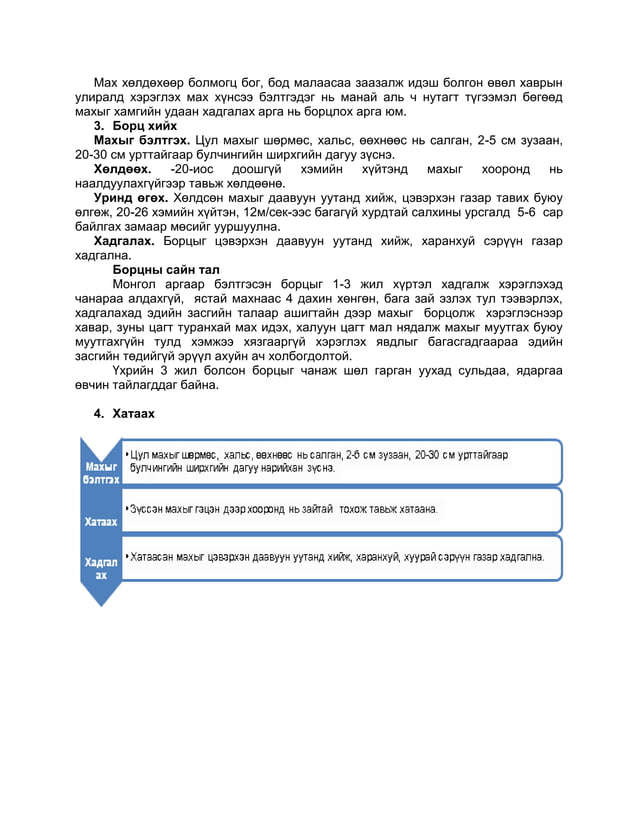 Dund hut in angi mongol hool lekts 5 | DOCX