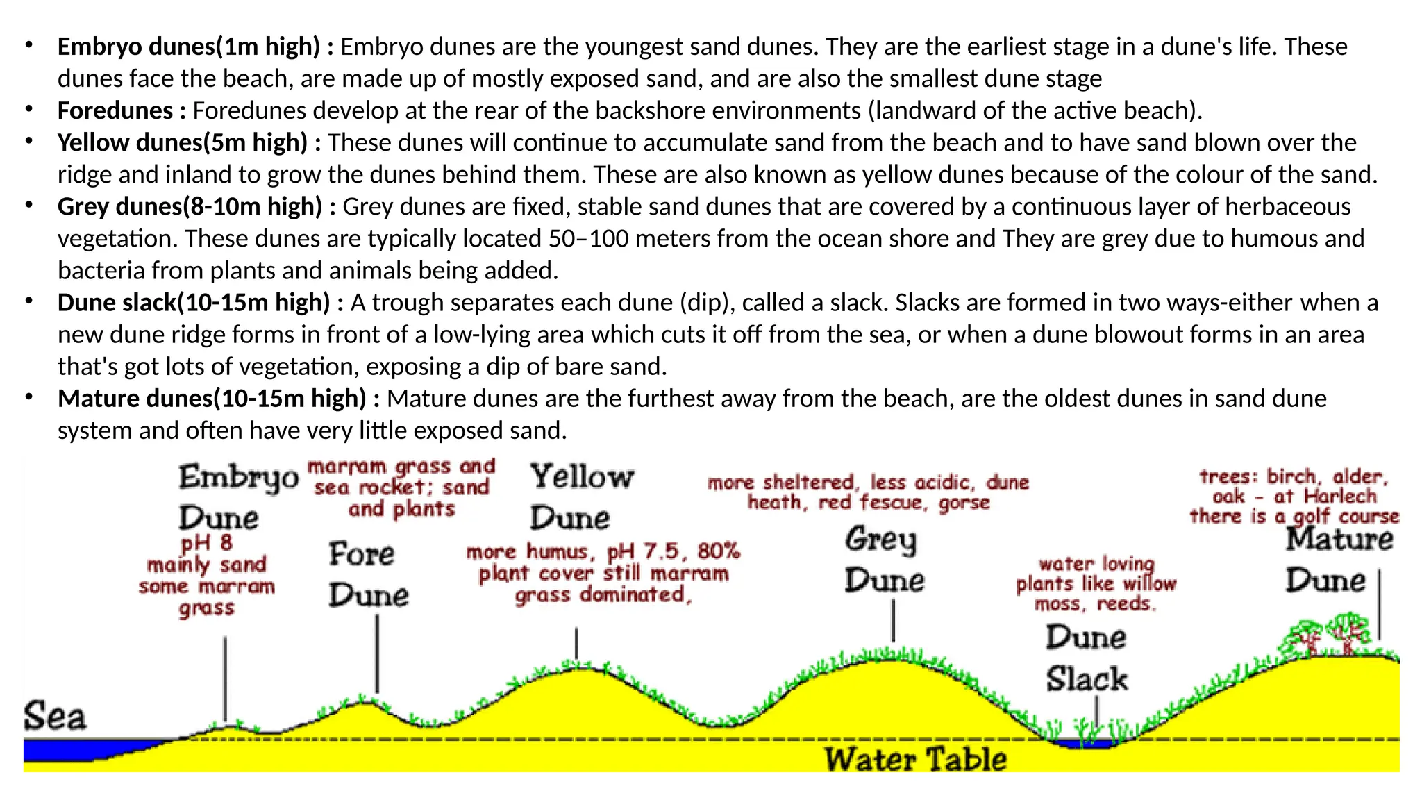 dunes and its basic understanding how and its types | PPTX