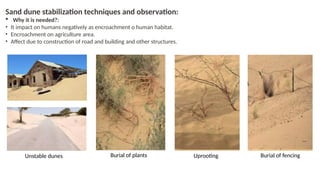 dunes and its basic understanding how and its types | PPTX
