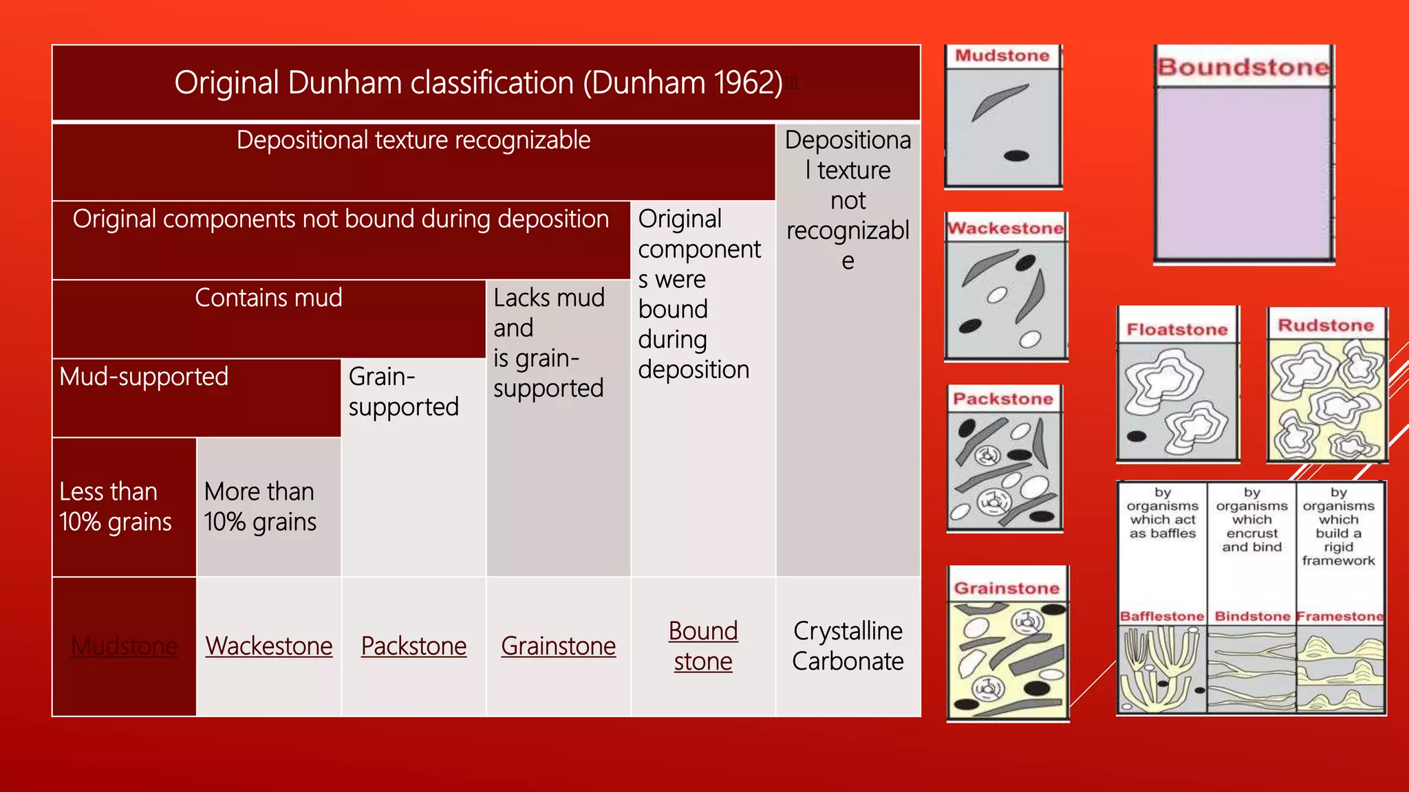 Dunham classification presentation | PPTX