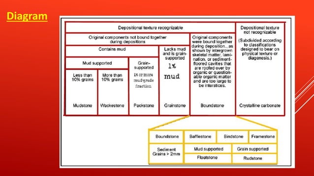 Dunham classification presentation | PPTX