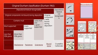 Dunham classification presentation | PPTX