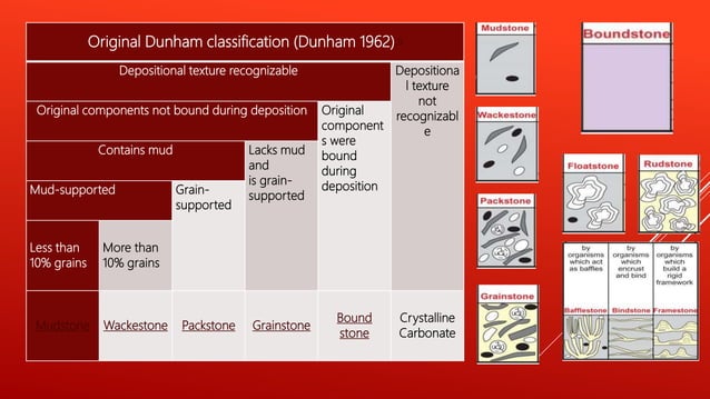 Dunham classification presentation | PPTX