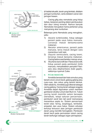 Dunia hewan (animalia) | PDF