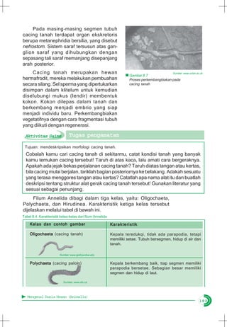 Dunia hewan (animalia) | PDF