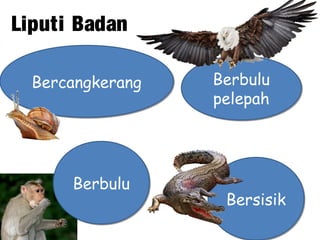 Dunia sains tahnu 3 haiwan | PPT