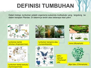 presentasi dunia tumbuhan mata kuliah ilmu pengetahuan alam | PPT
