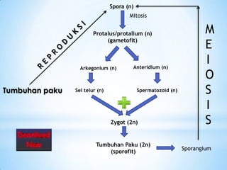 Dunia tumbuhan bio | PPTX