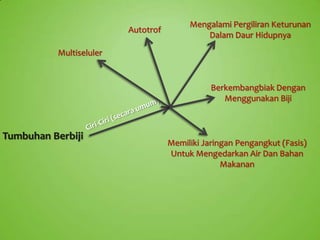 Dunia tumbuhan bio | PPTX