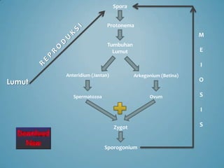 Dunia tumbuhan bio | PPTX