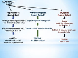Dunia tumbuhan bio | PPTX