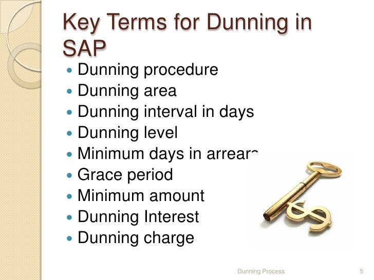 Sap Dunning Examples: Sap Dunning Application – QNAG
