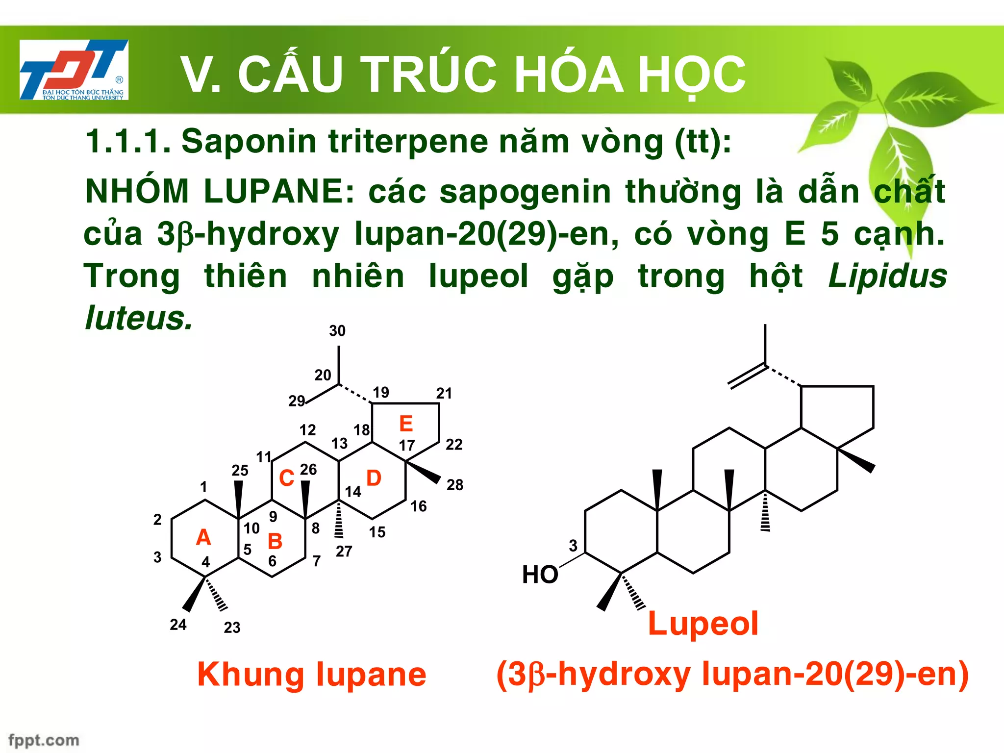 Duoc lieu chua saponin dai cuong gs ts nguyen minh duc | PDF