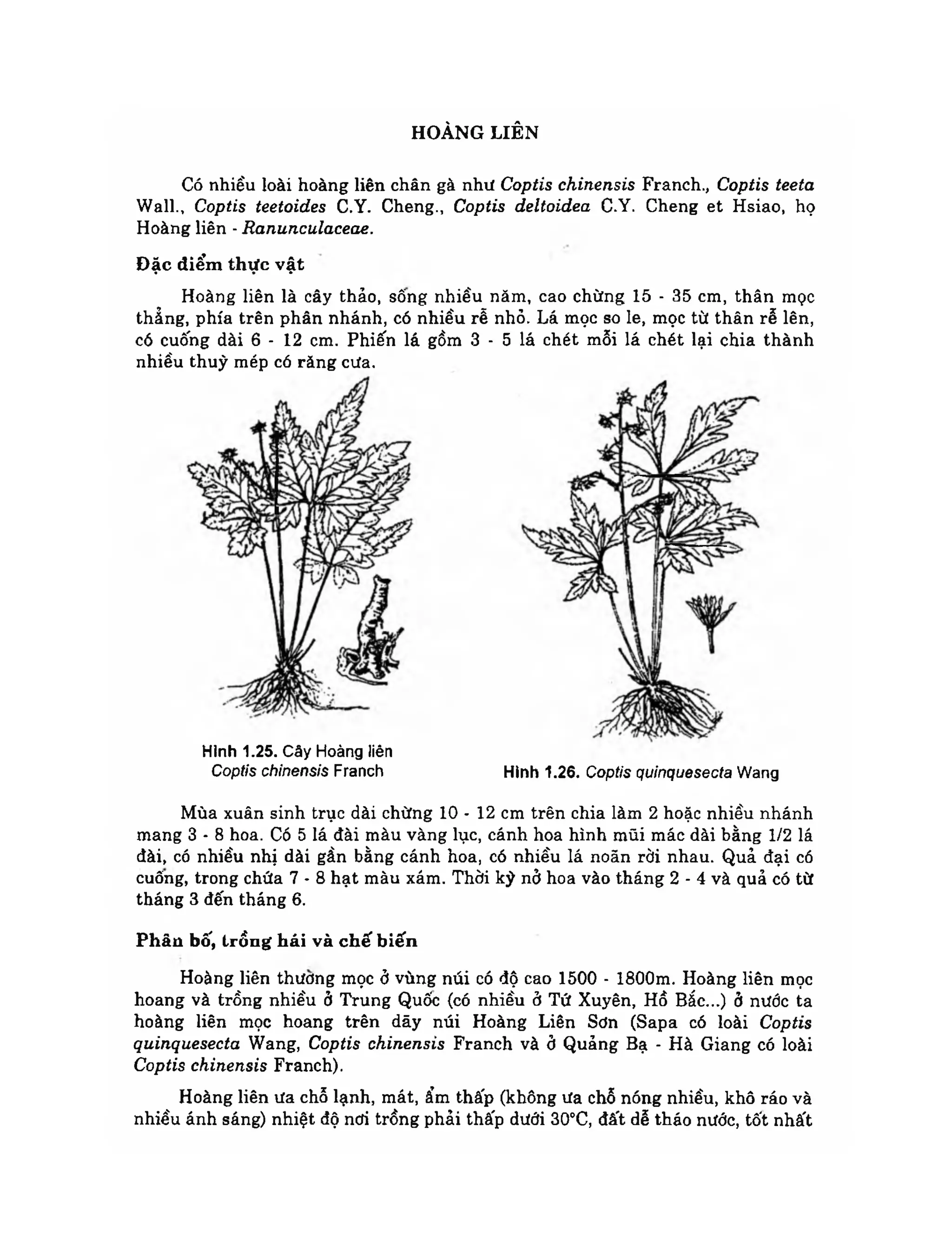 Dược liệu học - Tập 2 | PDF