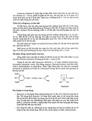 Dược liệu học - Tập 2 | PDF