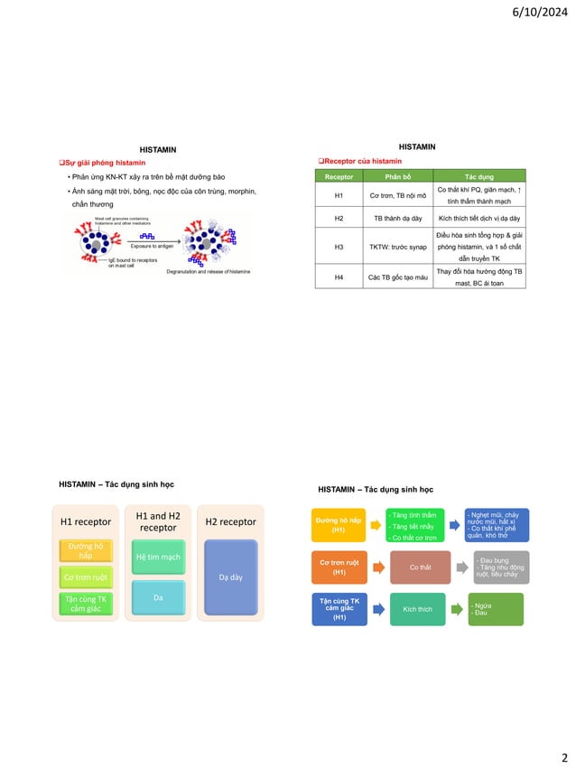 [DUOC LY] Thuốc kháng Histamin H1.pdf111 | PDF