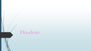 Duodeno | PPTX
