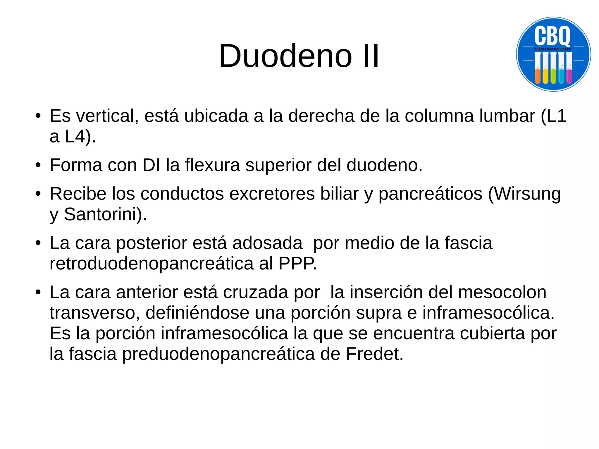 duodeno-pancreas.pdf