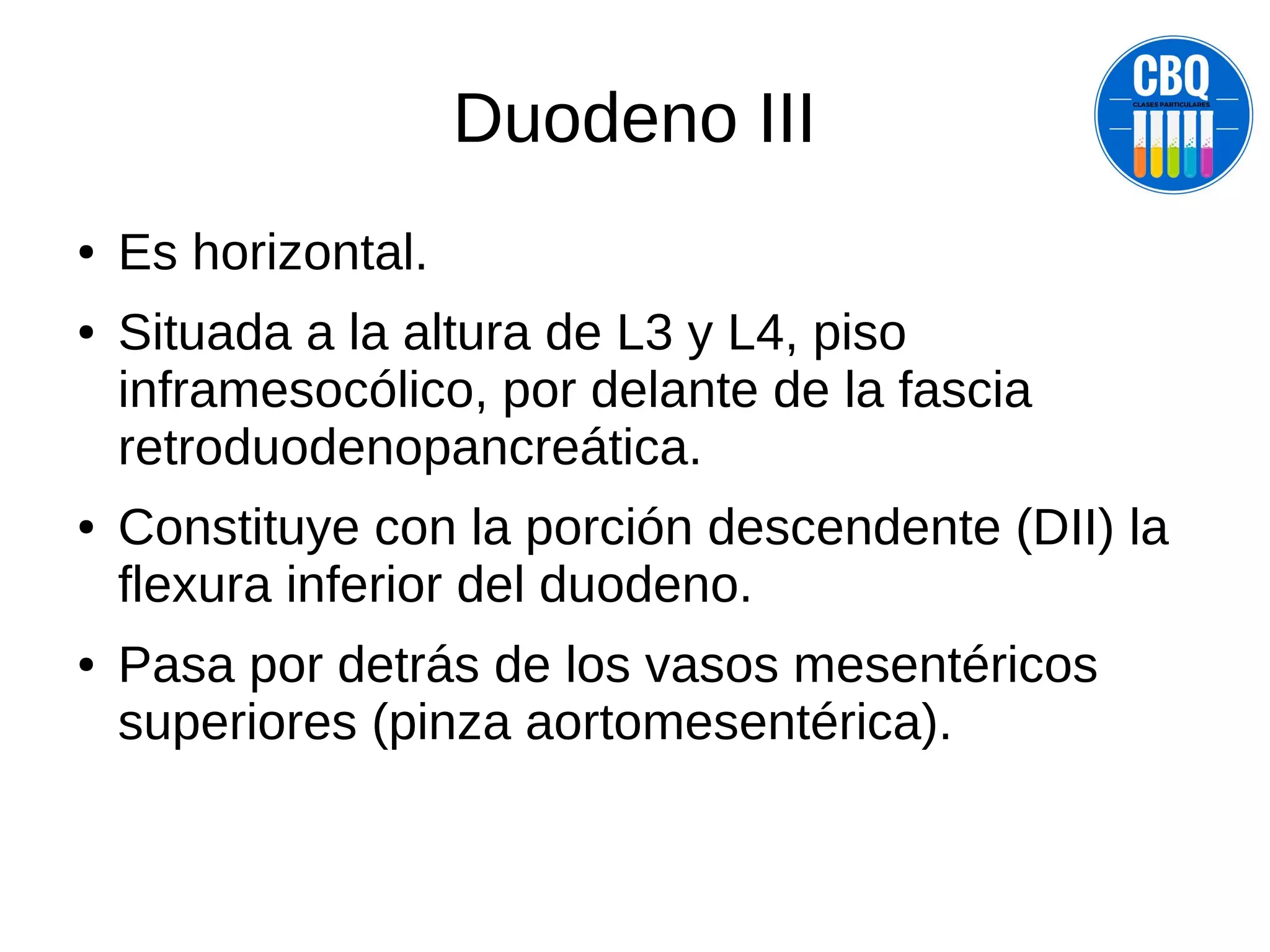duodeno-pancreas.pdf