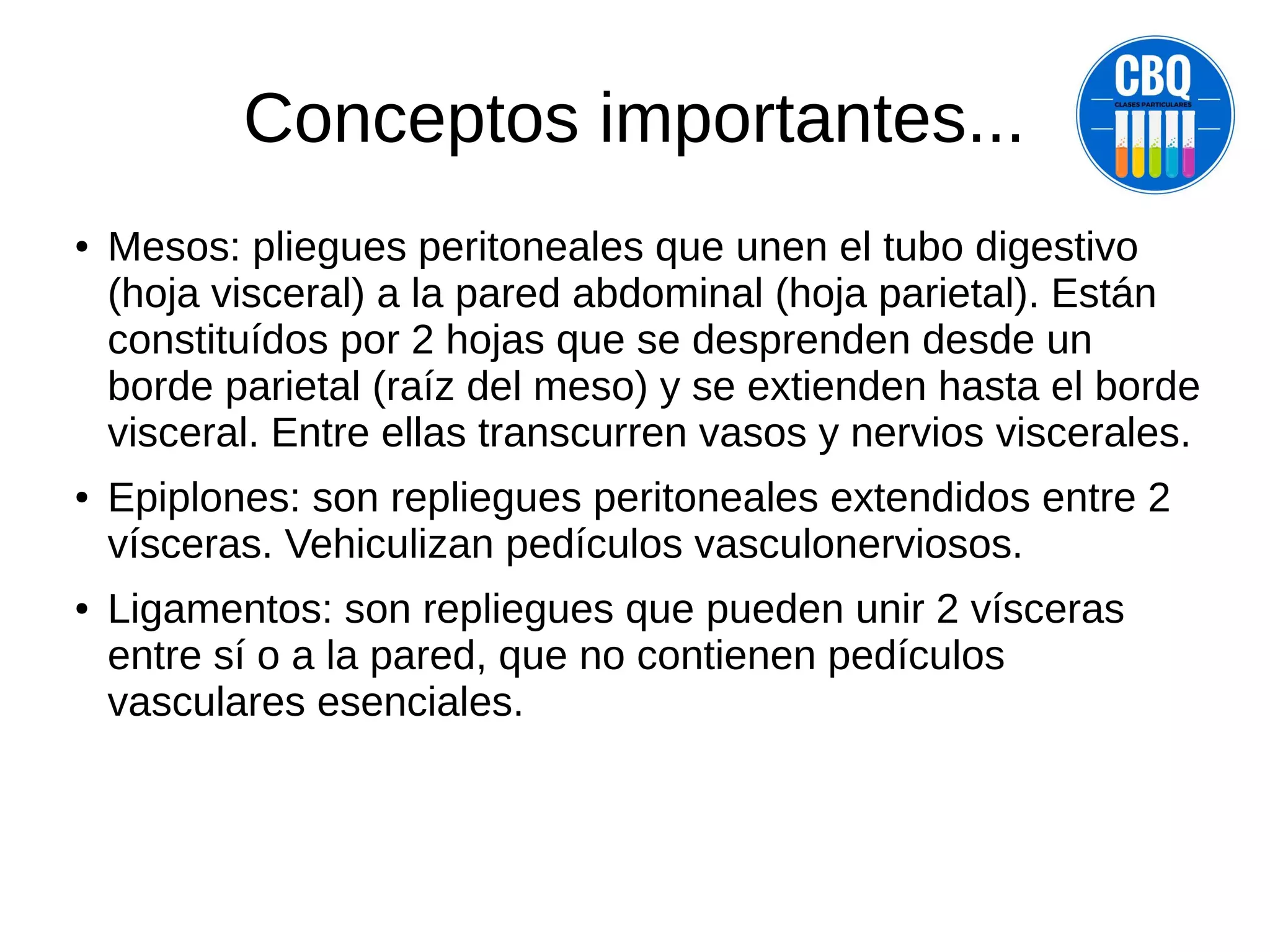 duodeno-pancreas.pdf