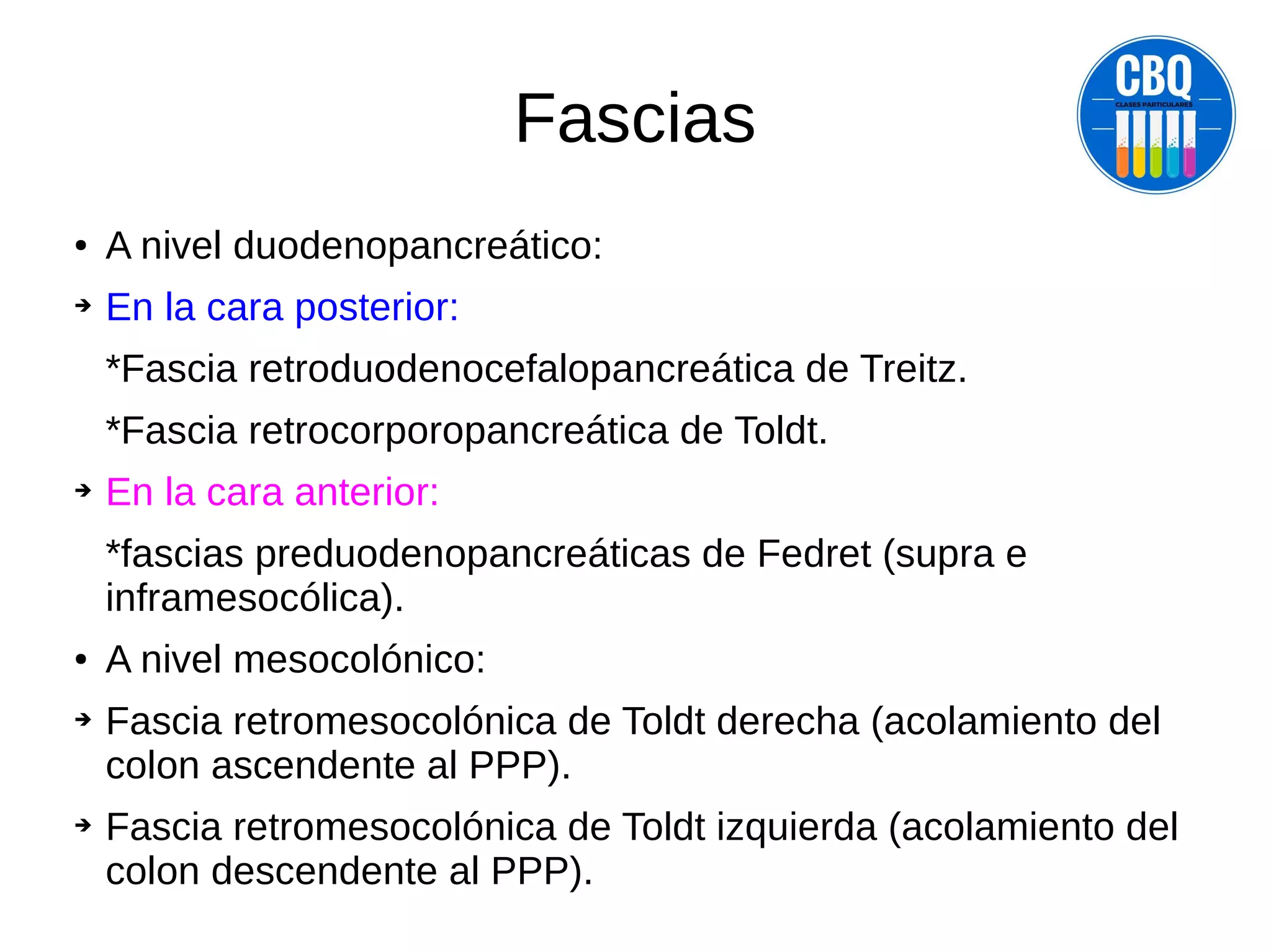 duodeno-pancreas.pdf