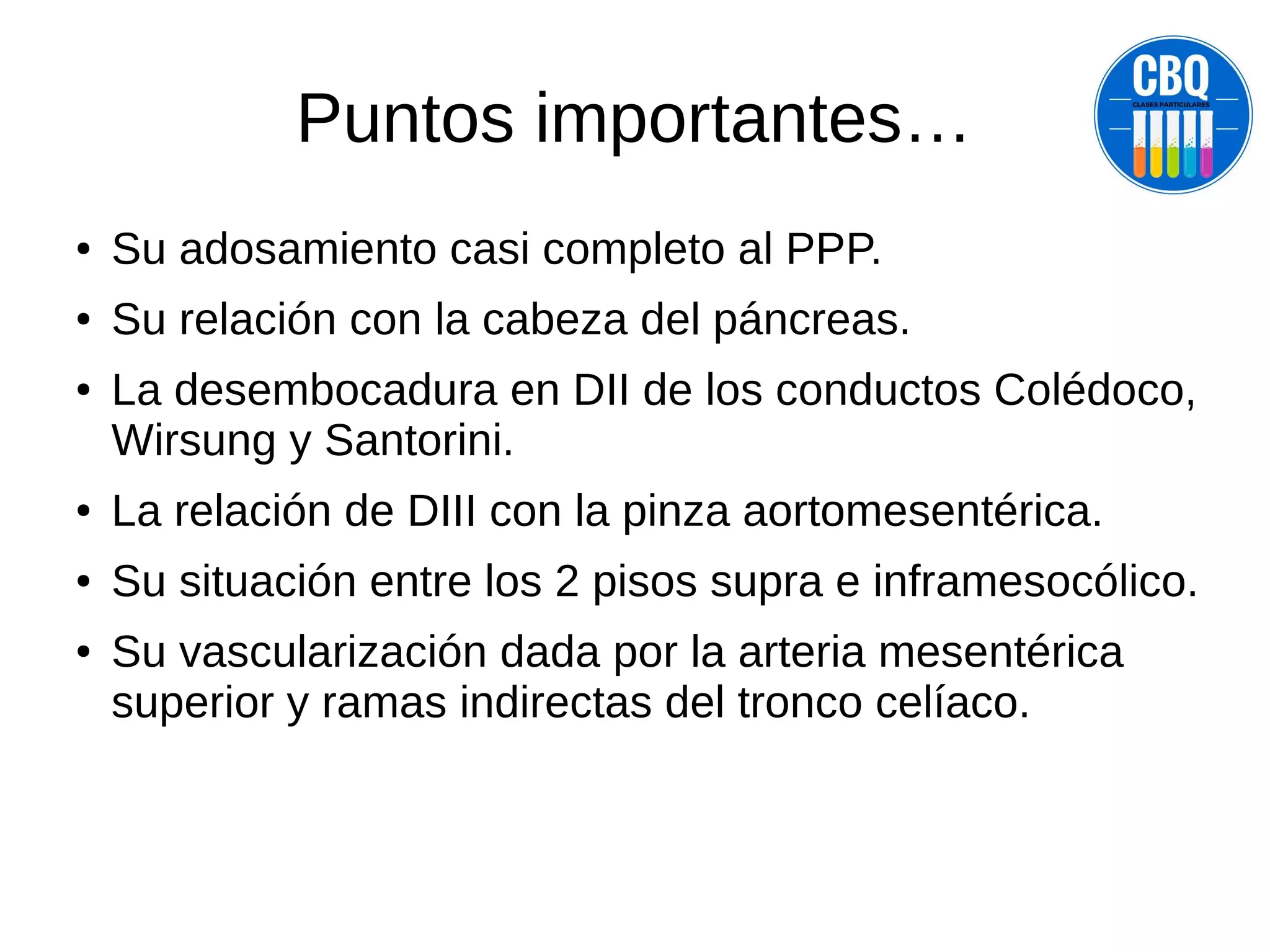 duodeno-pancreas.pdf