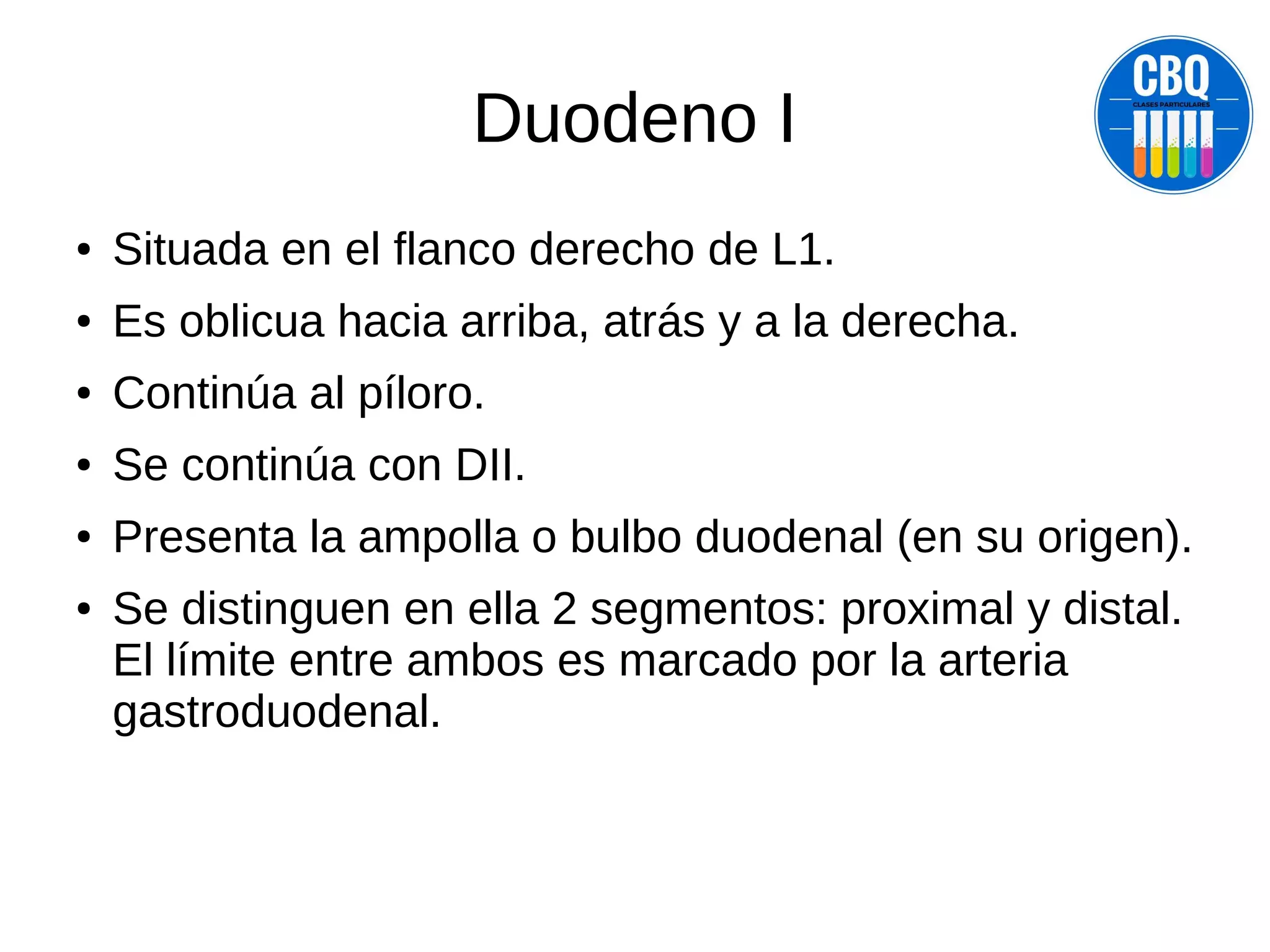 duodeno-pancreas.pdf
