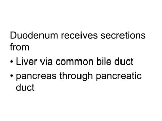 Duodenum | PPT