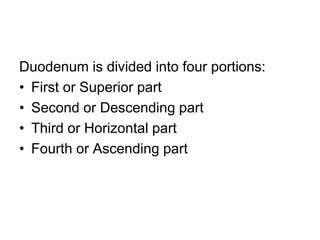 Duodenum | PPT