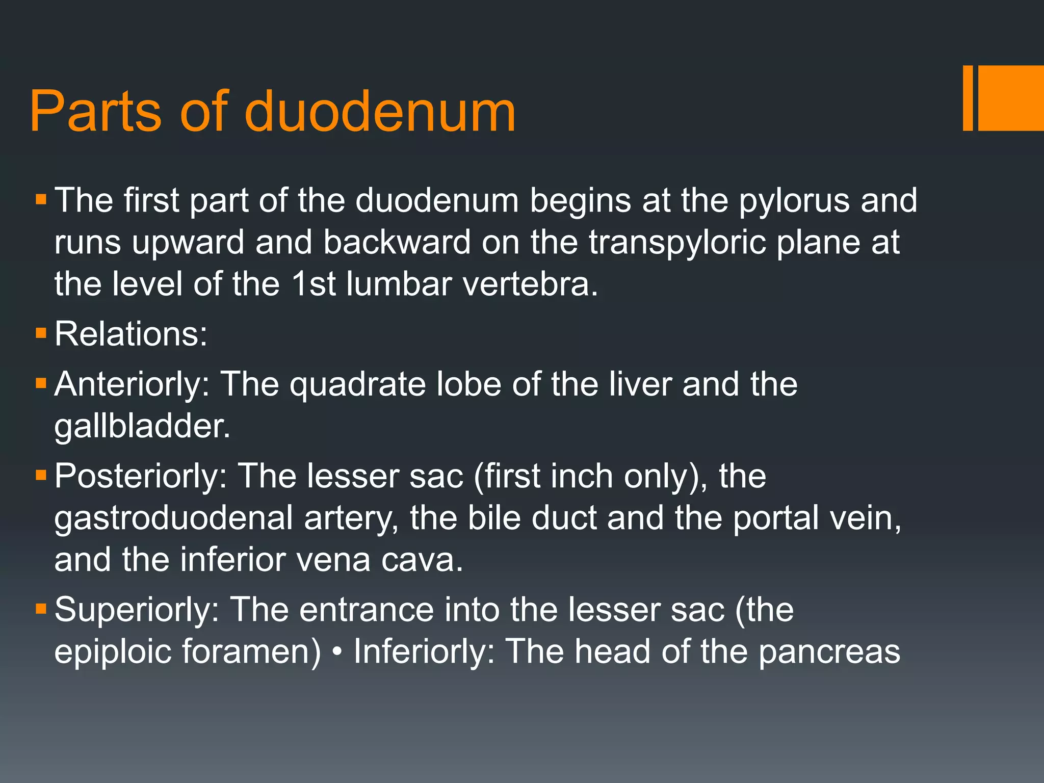 Duodenum by Ismail Surchi | PPT