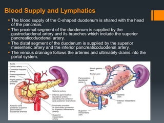 Duodenum by Ismail Surchi | PPT