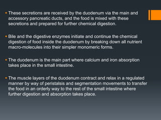 Duodenum by Ismail Surchi | PPTX