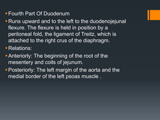Duodenum by Ismail Surchi | PPT