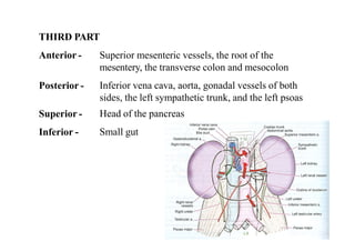 Duodenum.pptx