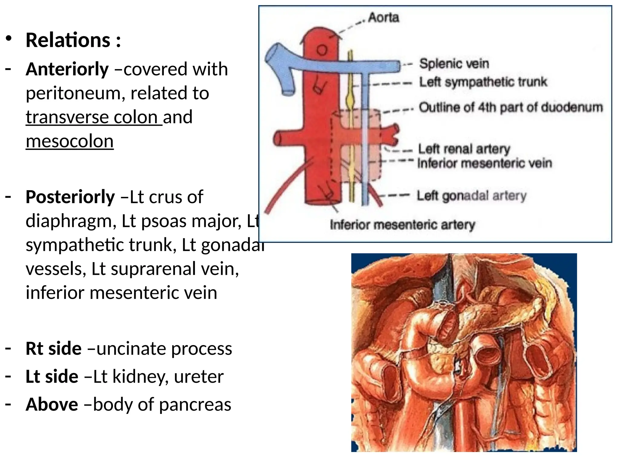 Duodenum.pptx........................... | PPTX