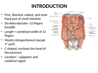 Duodenum.pptx........................... | PPTX