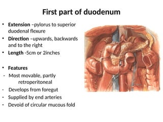 Duodenum.pptx........................... | PPTX