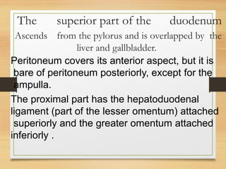 DUODENUM ANATOMY & Clinical Anatomy.pptx