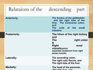 DUODENUM ANATOMY & Clinical Anatomy.pptx