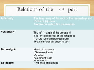 DUODENUM ANATOMY & Clinical Anatomy.pptx