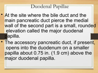 DUODENUM ANATOMY & Clinical Anatomy.pptx