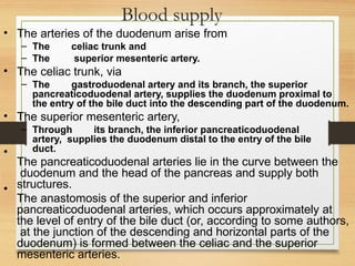 DUODENUM ANATOMY & Clinical Anatomy.pptx
