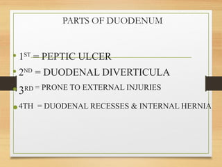 DUODENUM ANATOMY & Clinical Anatomy.pptx