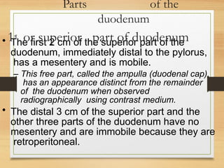 DUODENUM ANATOMY & Clinical Anatomy.pptx