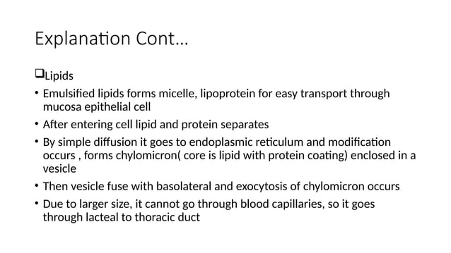 Digestion and Absorption in Duodenum and Small Intestine | PPT
