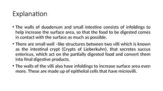 Digestion and Absorption in Duodenum and Small Intestine | PPTX