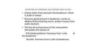 Digestion and Absorption in Duodenum and Small Intestine | PPTX