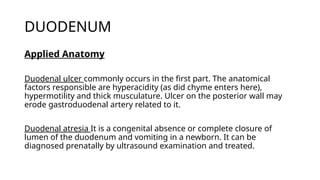 DUODENUM, JEJUNUM & ILEUM.. DUODENUM, JEJUNUM & ILEUM | PPTX