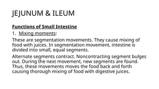 DUODENUM, JEJUNUM & ILEUM.. DUODENUM, JEJUNUM & ILEUM | PPT